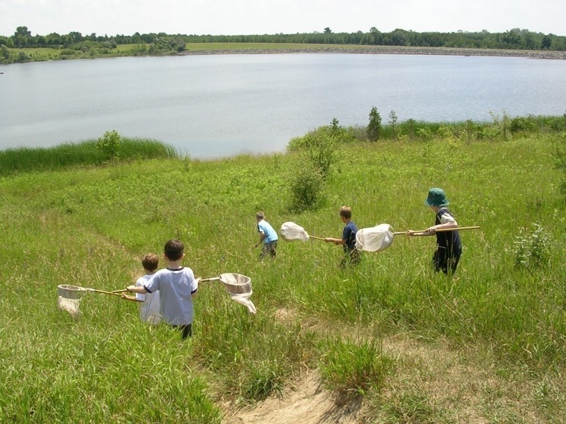 The Great Bug Hunt – Dan the Nature Man