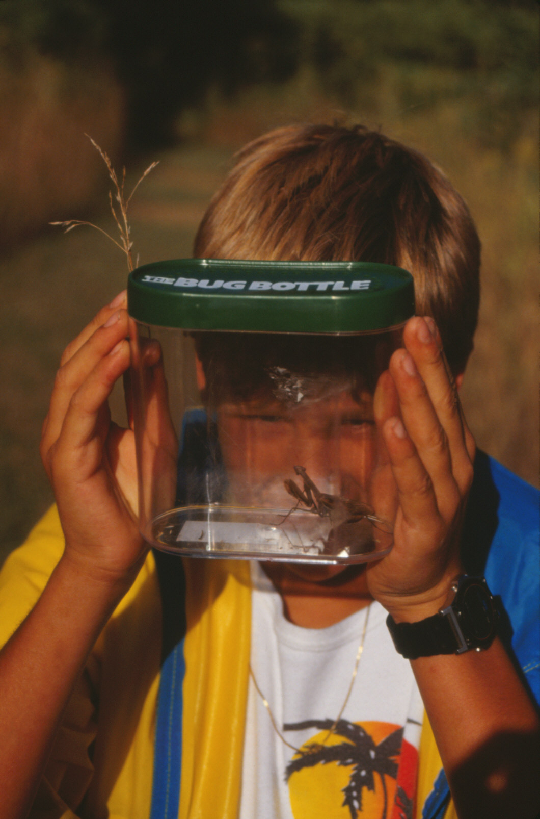 The Great Bug Hunt – Dan the Nature Man